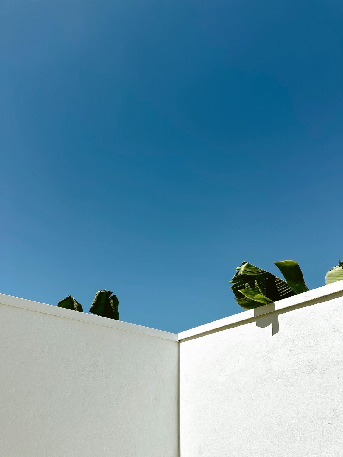 Retaining Wall And Fence Disputes | QCAT Claims | QLD Business ...